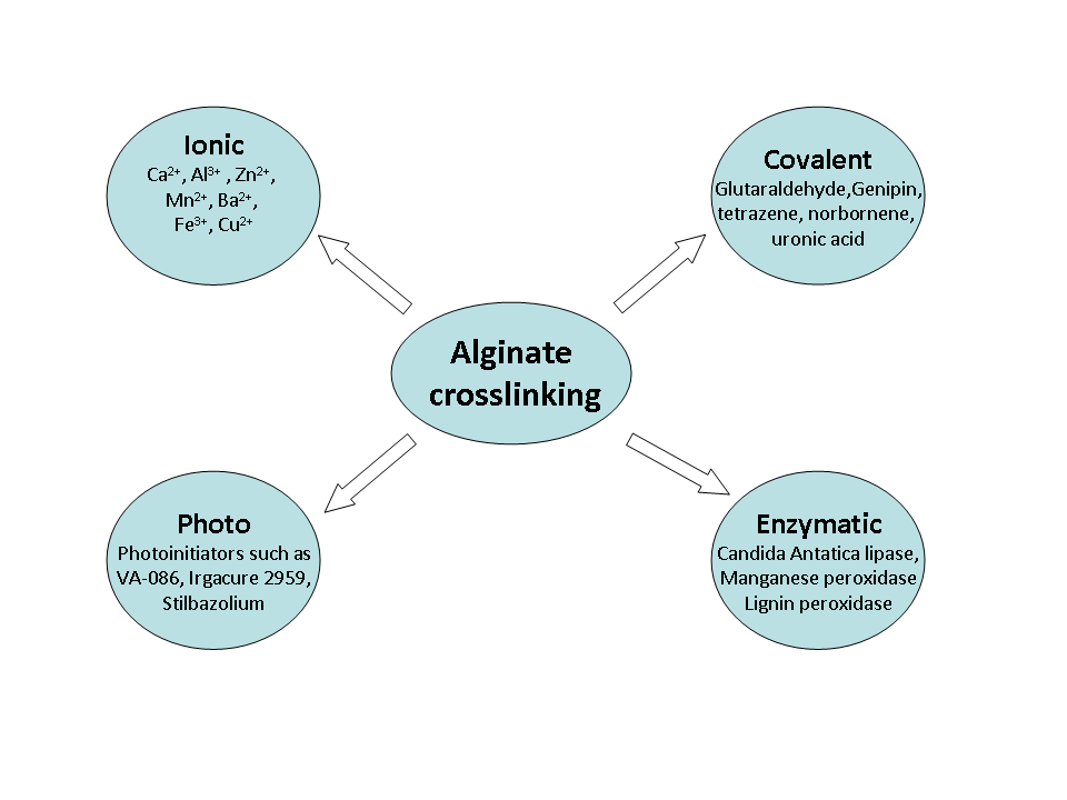 Fig. 2(a): Schematic depiction of methods of crosslinking alginate